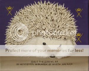 Reggie, Mr. Tiggywinkle & Sable Royal Paintings | Hedgehog Central