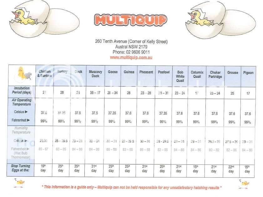 Backyard Poultry Forum • View topic - Hatching table - Time taken for ...
