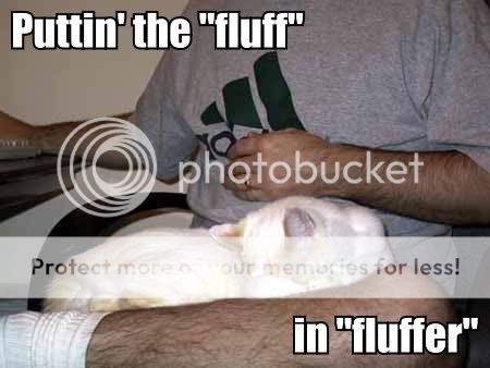 Would You Ever Consider A Job As A Fluffer? | Morrissey-solo