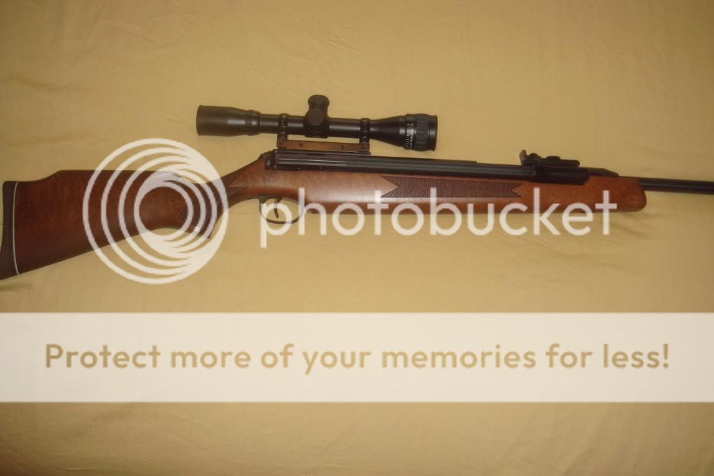 RWS Diana 48/52 Purchase? | Rimfire Central Firearm Forum