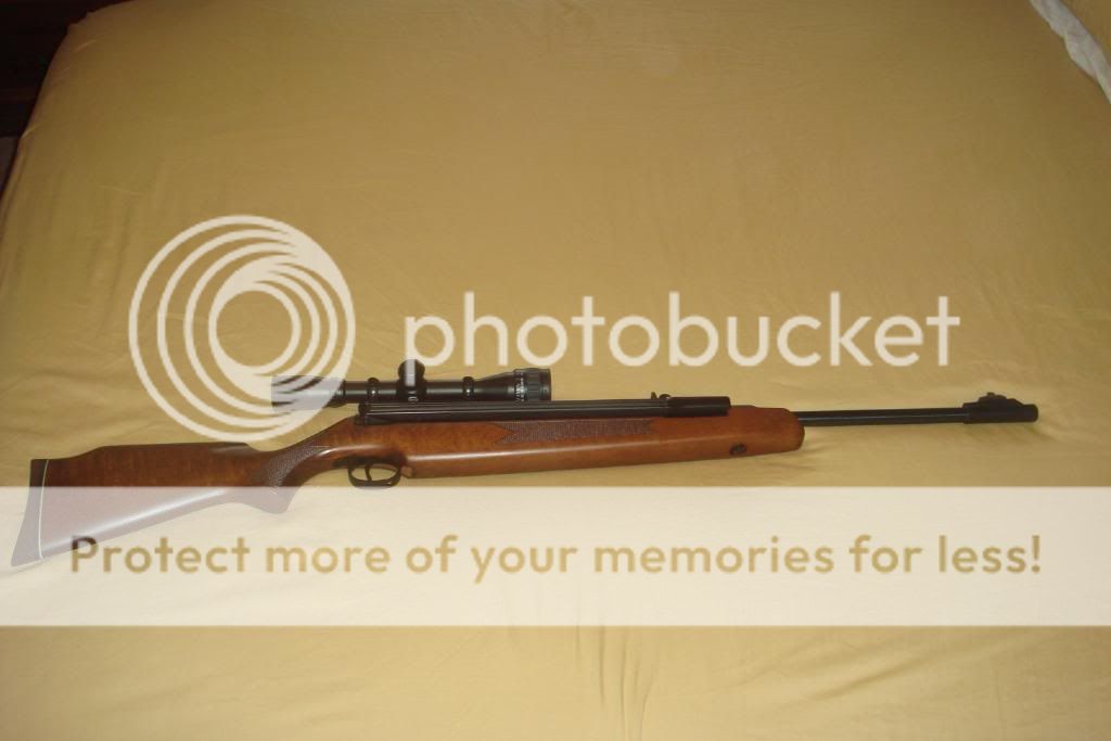 RWS Diana 48/52 Purchase? | Rimfire Central Firearm Forum